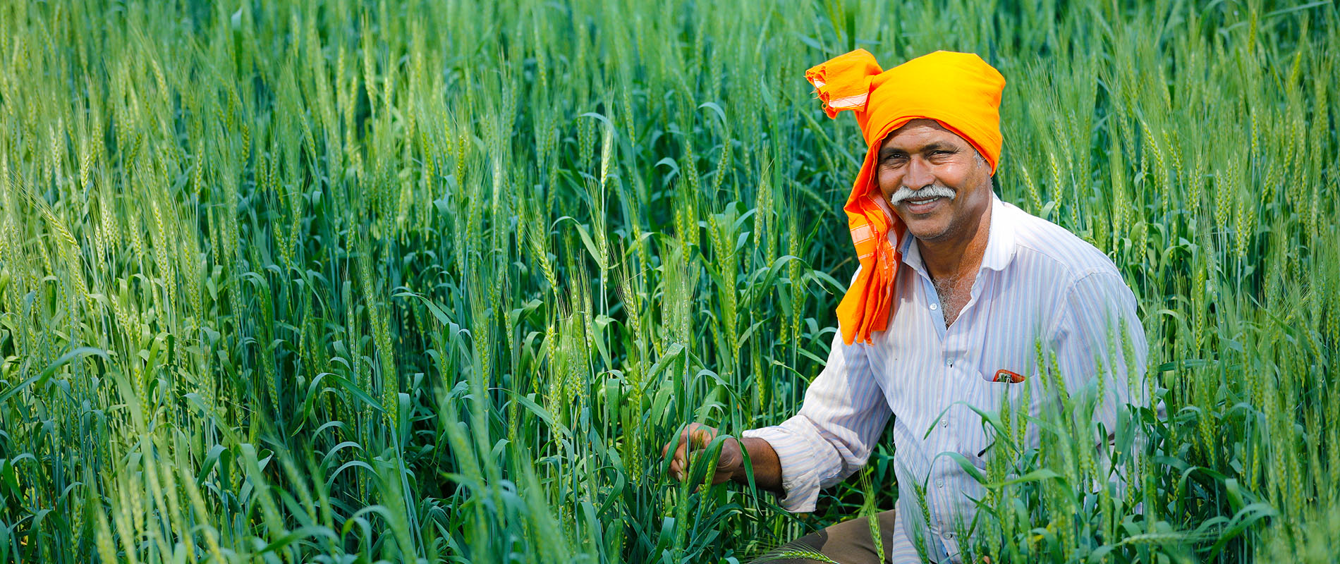 Modiant Solutions – Revolutionary Agriculture Machinery India